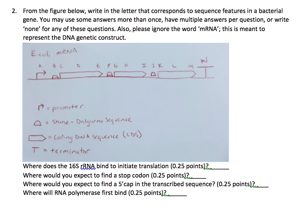 SOLVED: From the figure below, write in the letter that corresponds to ...