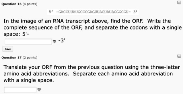 SOLVED: GACCUUAUGCCCGAGUUACUAUAGGGCGU - In the image of an RNA transcript above, find the ORF ...