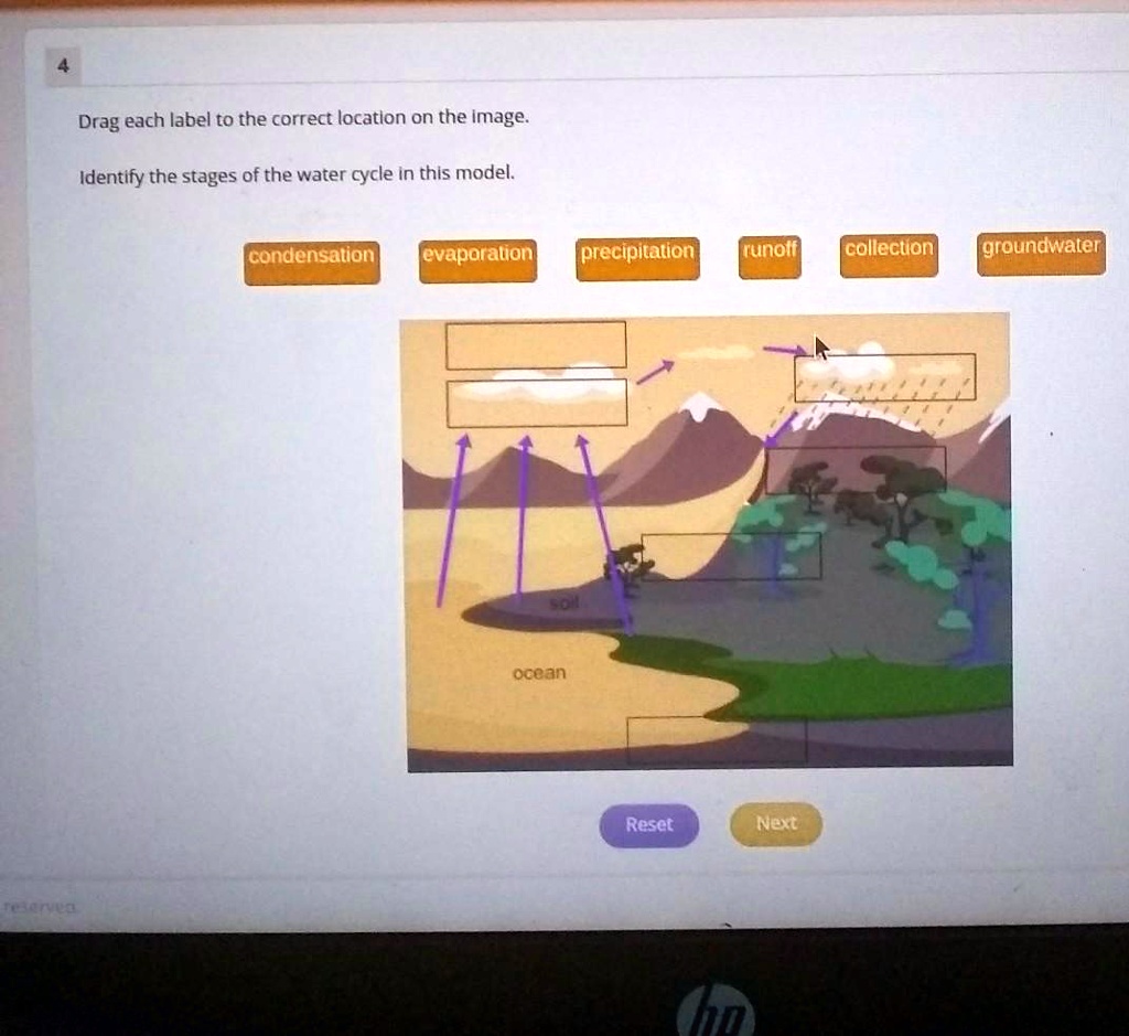 4 Drag each label to the correct location on the image. Identify the stages of the water cycle ...