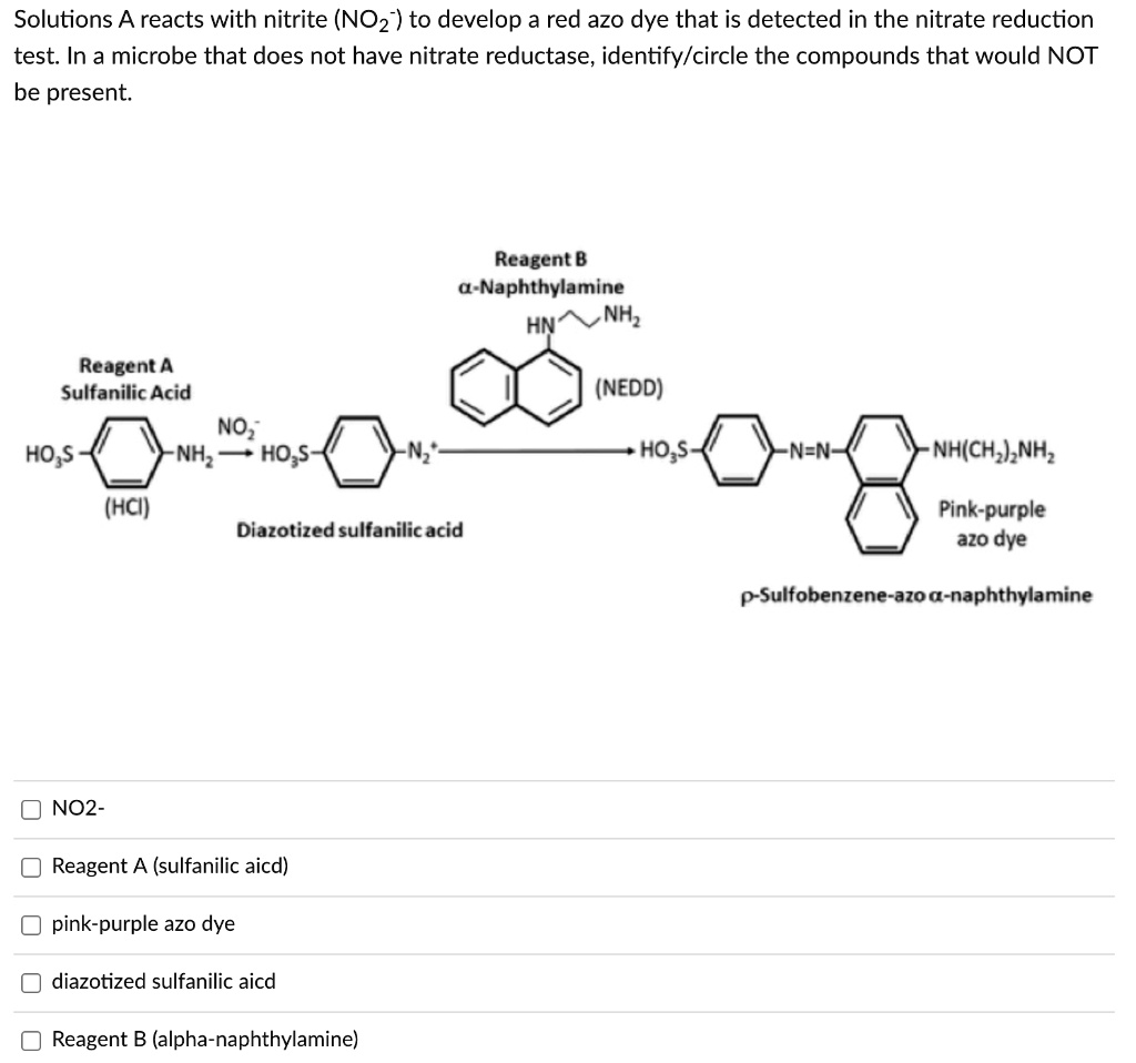 SOLVED: Solutions A reacts with nitrite (NO2) to develop a red azo dye ...