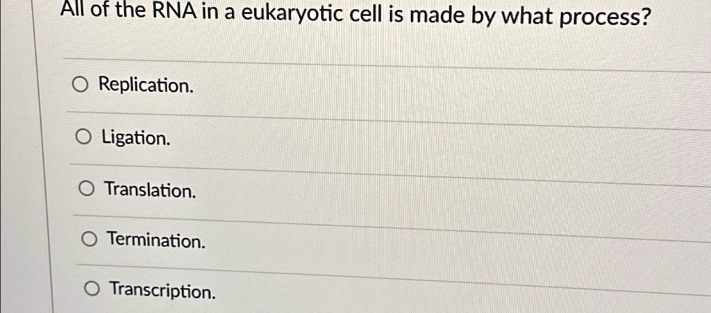all of the rna in a eukaryotic cell is made by what process replication ...