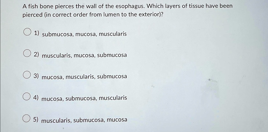 A fish bone pierces the wall of the esophagus. Which layers of tissue ...