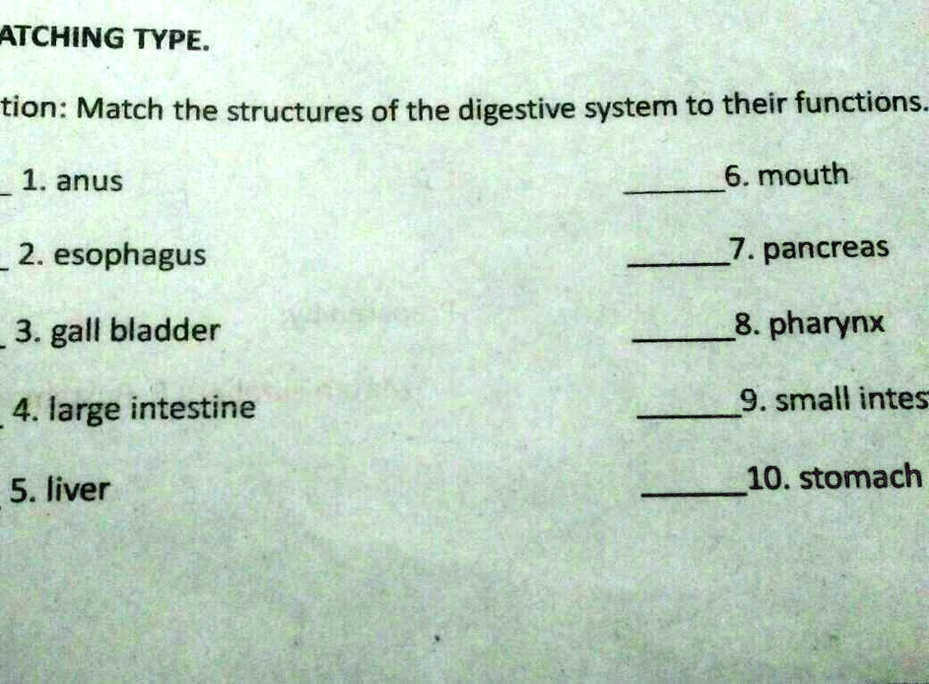 MATCHING TYPE. Question: Match the structures of the digestive system to their functions. 1 ...