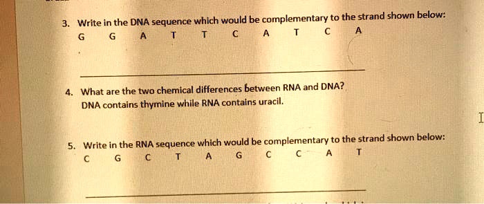 write in the dna sequence which would be complementary to the strand ...