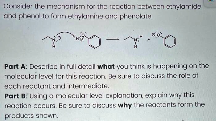 Consider the mechanism for the reaction between ethylamide and phenol ...
