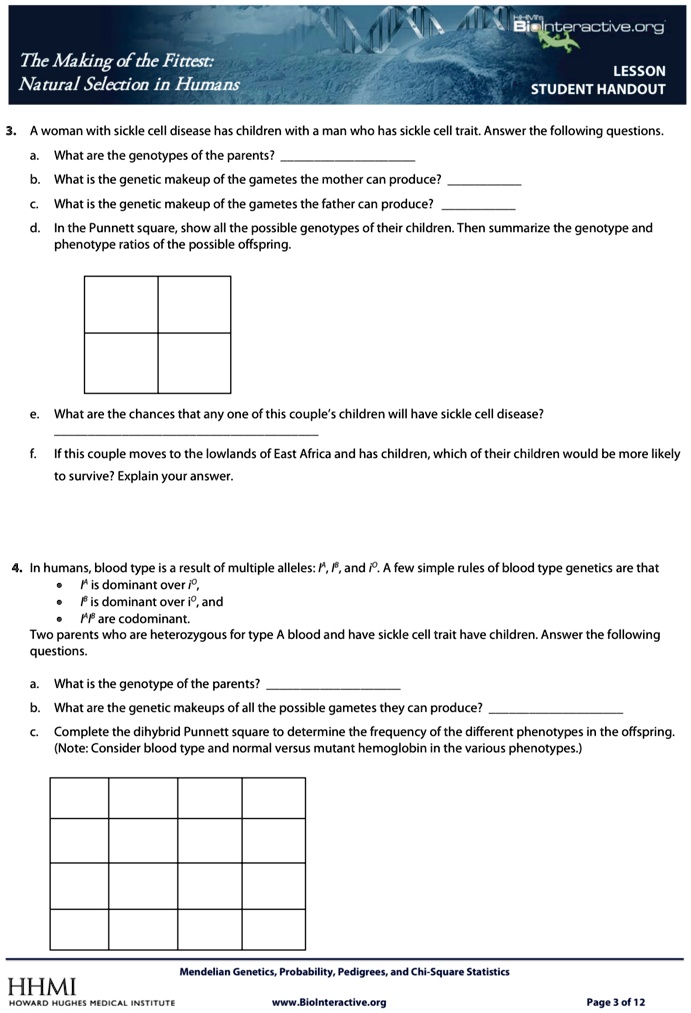 SOLVED:" Biclnteractiveorg The Making = of the Fittest: Natural ...