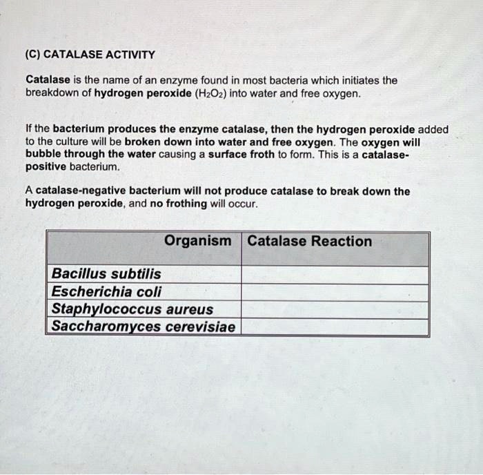 SOLVED: (C) CATALASE ACTIVITY Catalase is the name of an enzyme found ...