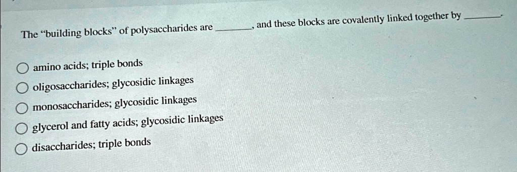 The Building Blocks Of Polysaccharides Are And These Blocks Are