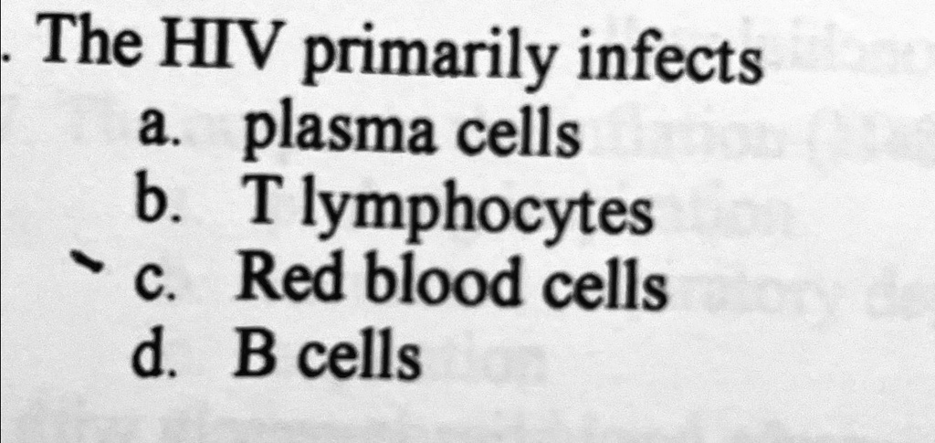 The HIV primarily infects a. plasma cells b. T lymphocytes c. Red blood ...