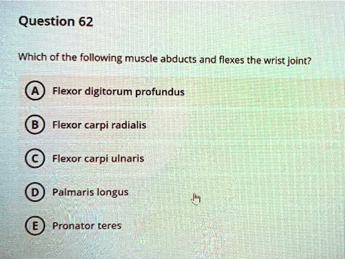 SOLVED: Which of the following muscles abducts and flexes the wrist joint? Flexor digitorum ...