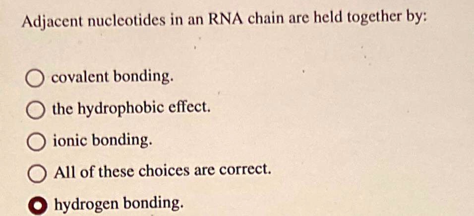 Adjacent nucleotides in an RNA chain are held together by: covalent ...