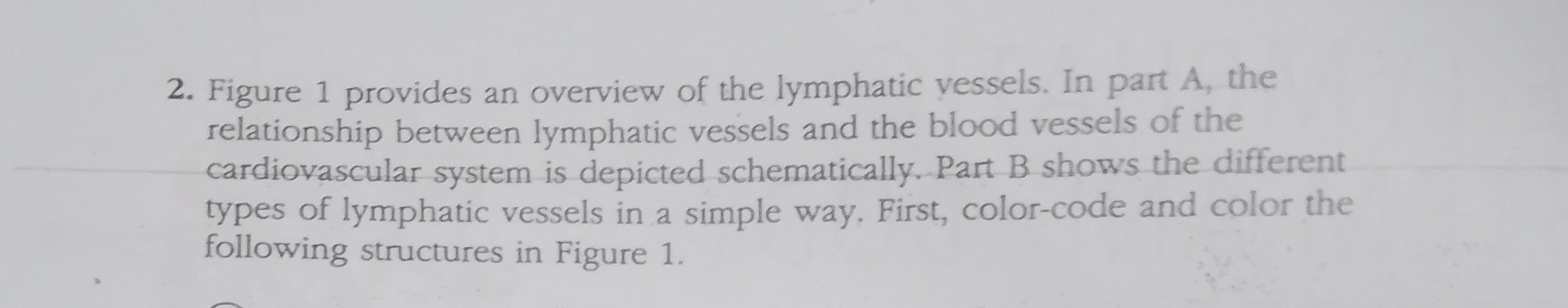 2 figure 1 provides an overview of the lymphatic yessels in part a the ...