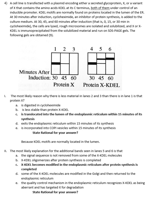 A cell line is transfected with a plasmid encoding either a secreted ...
