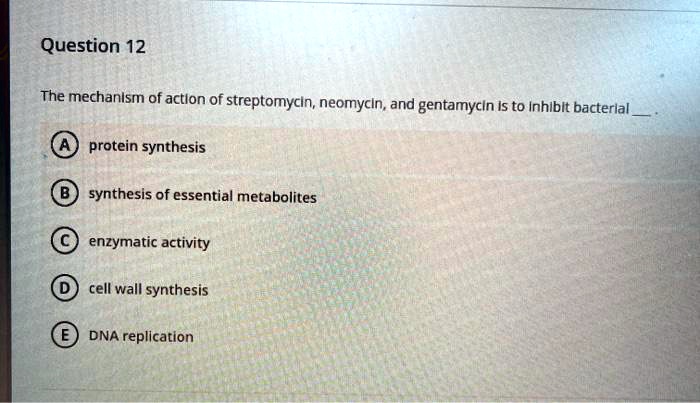 question 12 the mechanlsm of action of streptomycin neomycln and ...