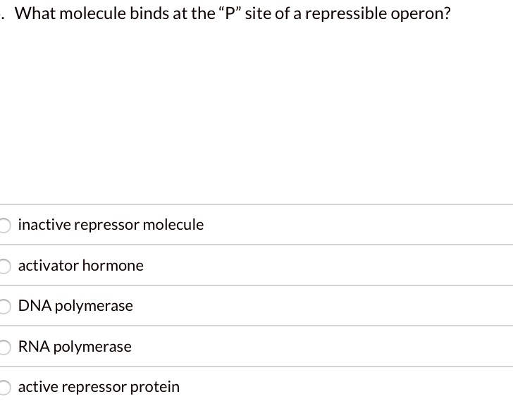 SOLVED: What molecule binds at the"P" site of a repressible operon ...