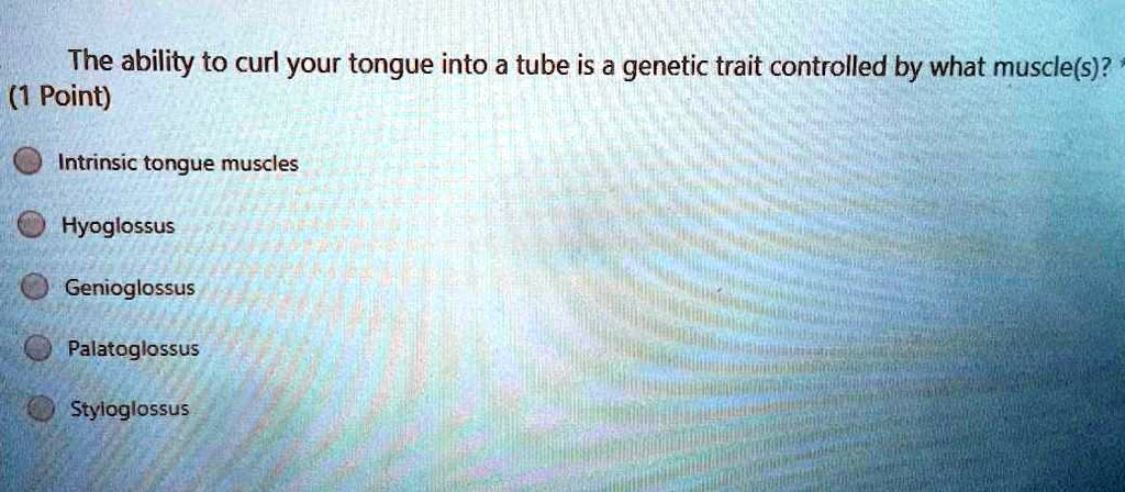 Solved The Ability To Curl Your Tongue Into A Tube Is A Genetic Trait Controlled By Which