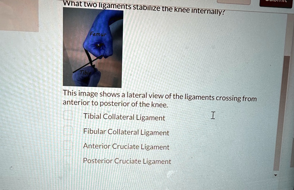 What two ligaments stabilize the knee...