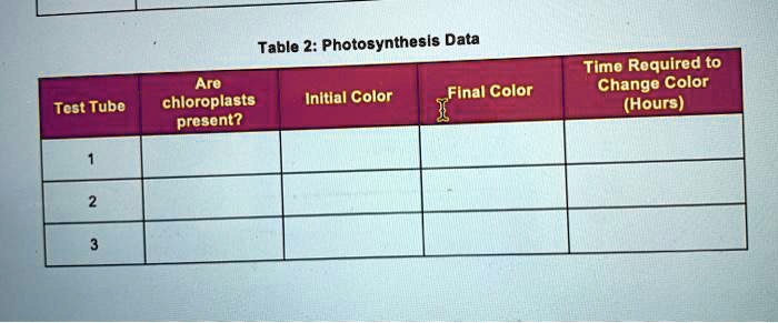 SOLVED: Table 2: Photosynthesis Data Time Required to Change Color ...