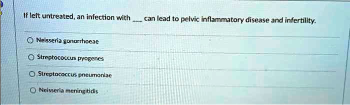 SOLVED: If left untreated, an infection with Neisseria gonorrhoeae can ...