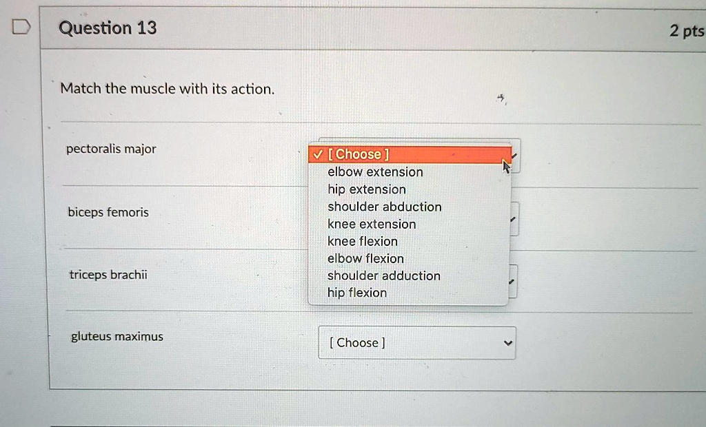 Question 13 Match the muscle with its action. pectoralis major biceps ...