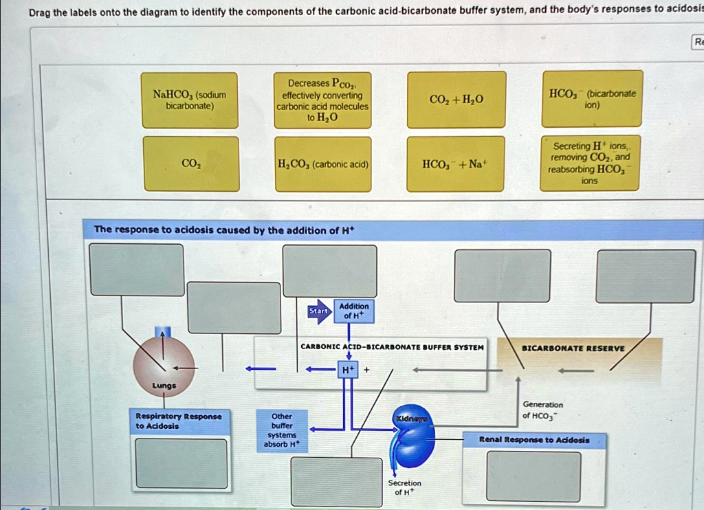 Drag the labels onto the diagram to identify the components of the ...