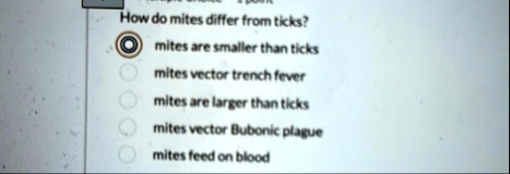 how do mites differ from ticks mites are smaller than ticks mites ...