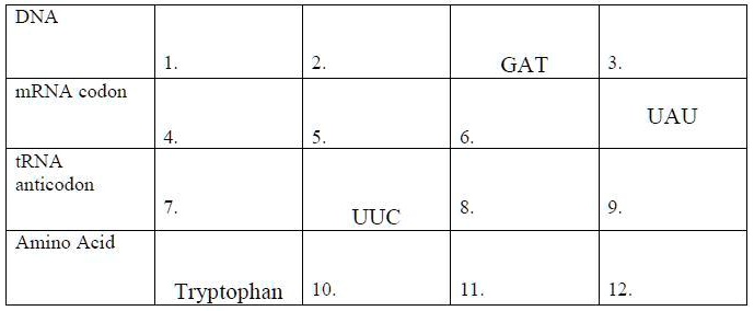 SOLVED: 'Complete the table below showing the sequences of DNA, mRNA codons, tRNA anticodons and ...