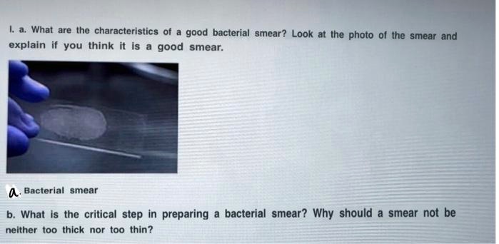 what are the characteristics of good bacterial smear look at the photo ...