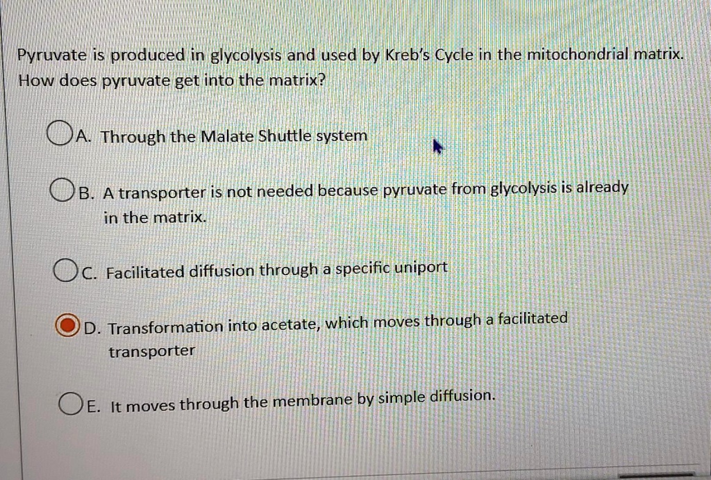 SOLVED: Pyruvate is produced in glycolysis and used by the Krebs Cycle ...