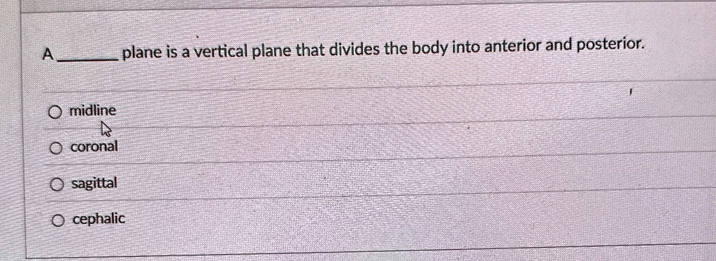 A plane is a vertical plane that divides the body into anterior and ...