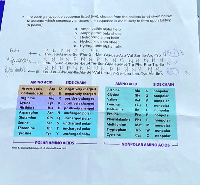 7 for each polypeptide sequence listed i ii choose from the options a e ...