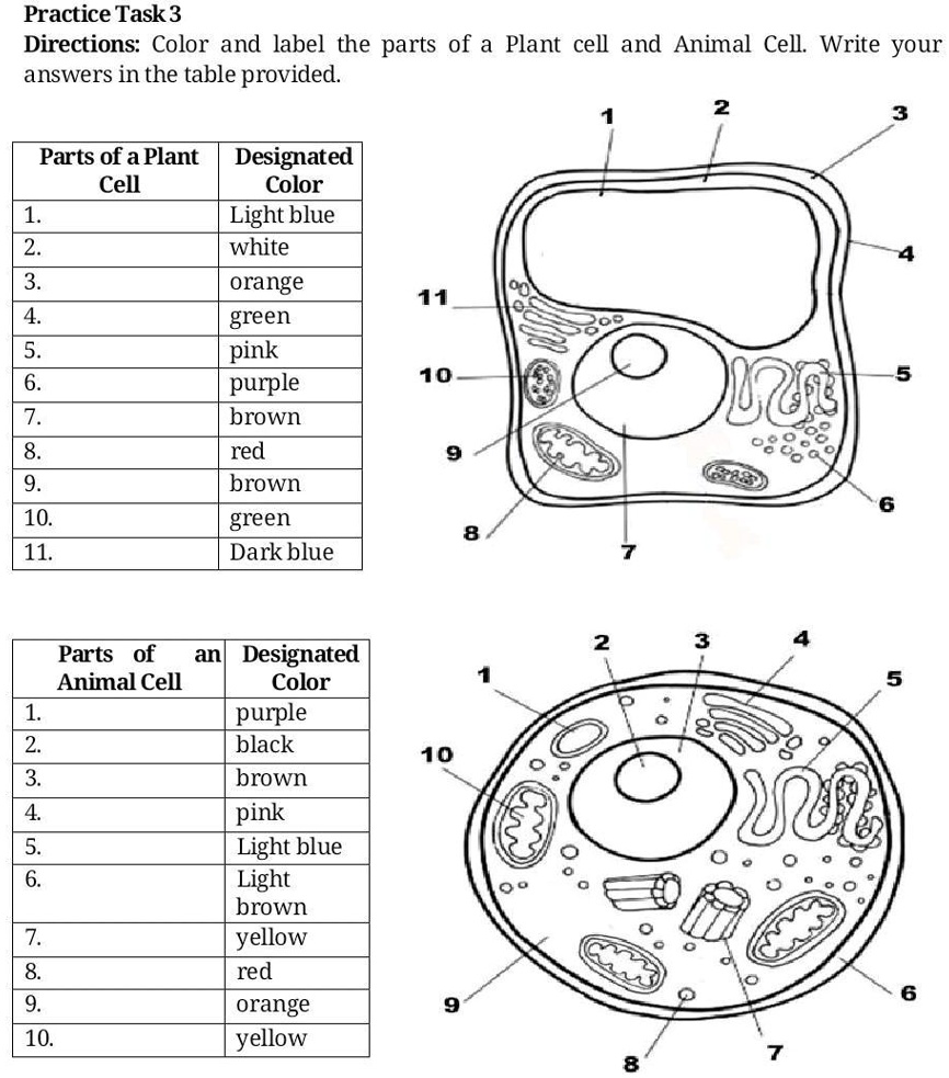 SOLVED: Help, please... thank you!! Practice Task 3 Directions: Color ...