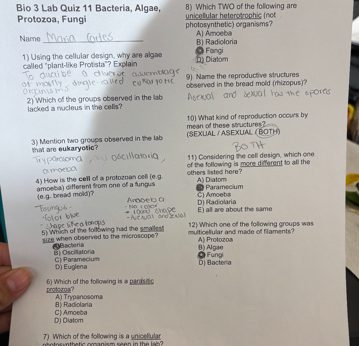 Bio 3 Lab Quiz 11 Bacteria, Algae, Protozoa, Fungi Name 1) Using the ...