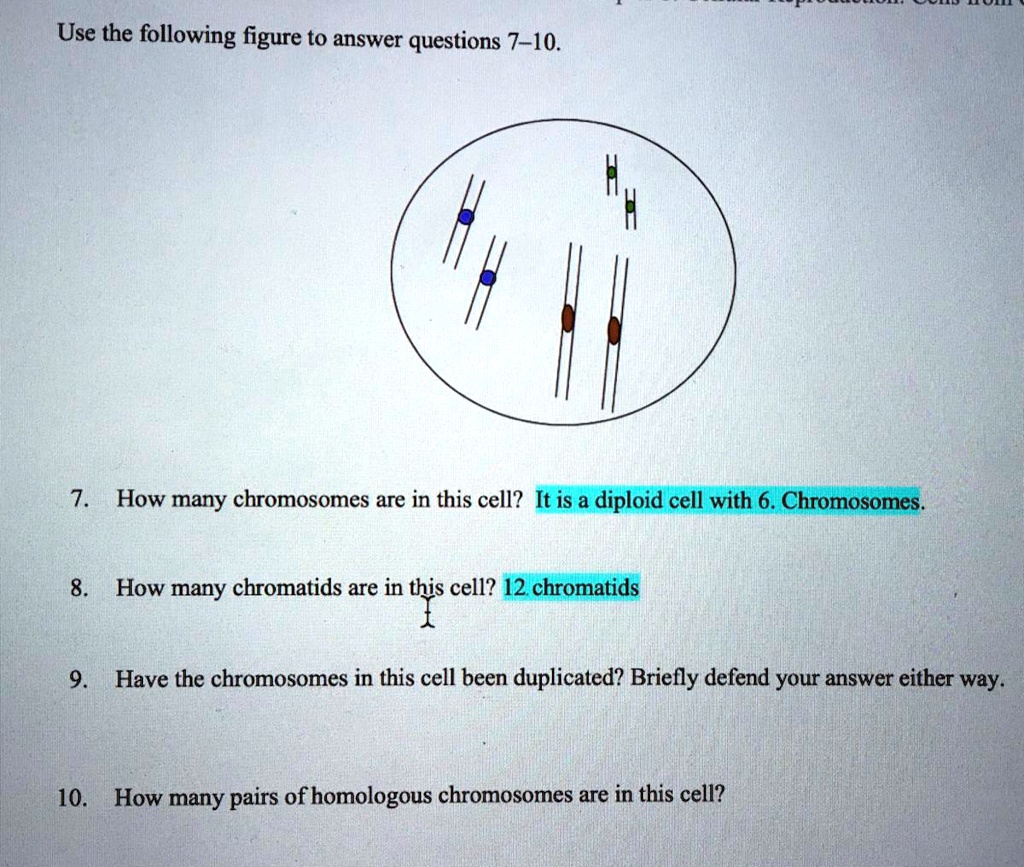 help please due tomorrow use the following figure to answer questions 7 ...