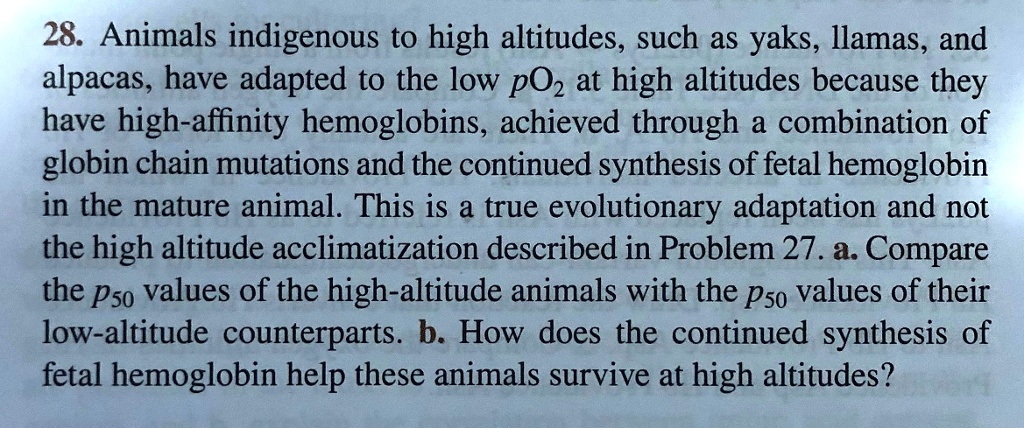 SOLVED: Animals indigenous to high altitudes, such as yaks, llamas, and ... SOLVED: Animals indigenous to high altitudes, such as yaks, llamas, and ...