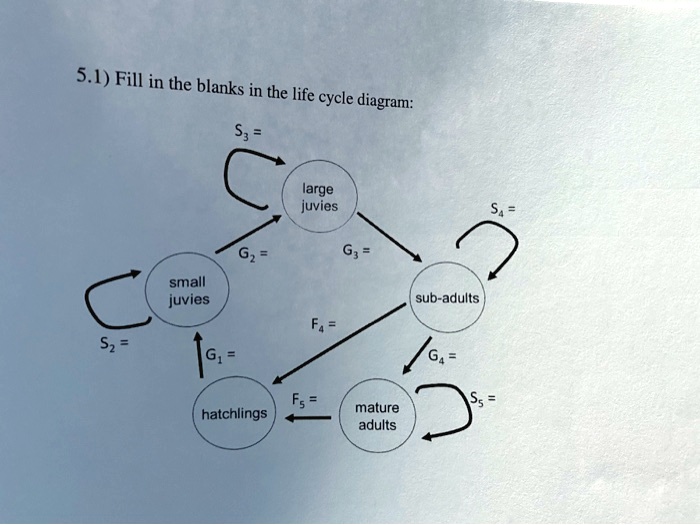 SOLVED:5.1) ` Fill in the blanks in the life cycle diagram: large ...