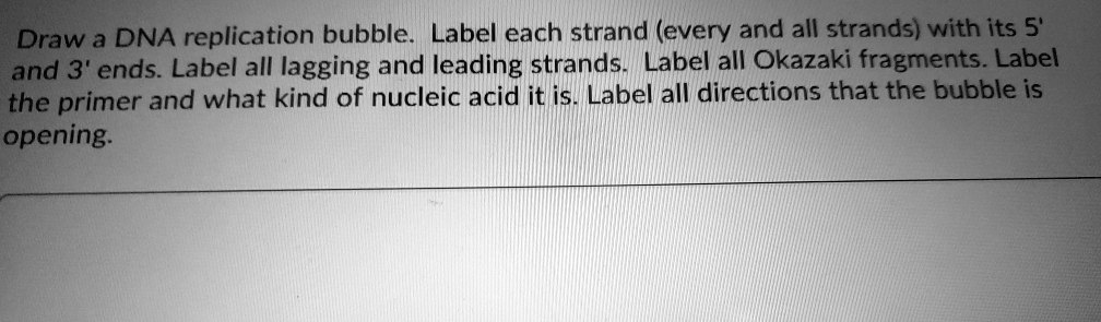 SOLVED: Draw a DNA replication bubble: Label each strand (every and all ...