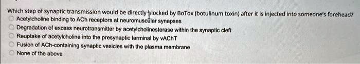 SOLVED: Which step of synaptic transmission would be directly blocked ...