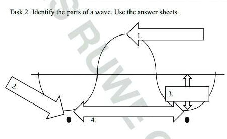 SOLVED: 'identify the parts of a waves Task 2. Identify the parts of ...