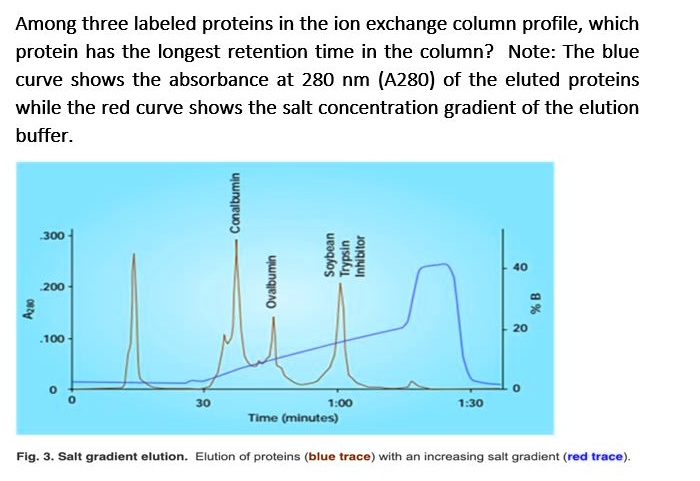 Among three labeled proteins in the ion exchange column profile, which ...
