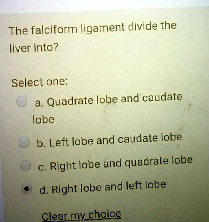 The falciform ligament divides the liver into? Select one: a. Quadrate ...