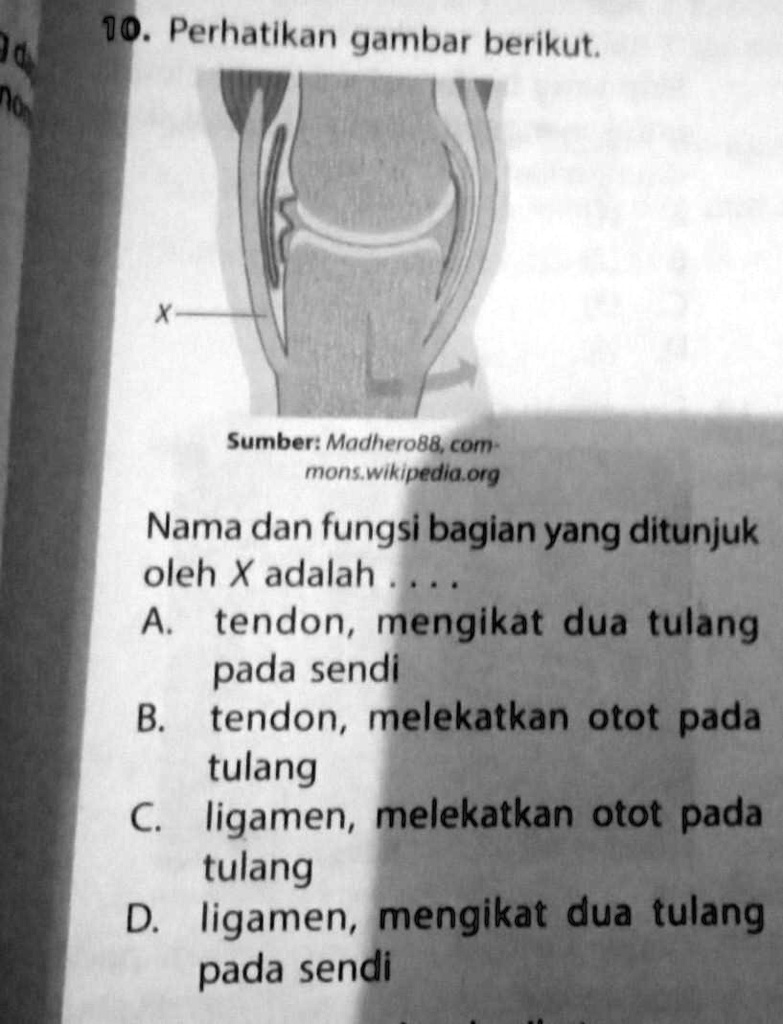 SOLVED: Perhatikan gambar berikut nama dan fungsi bagian yang ... SOLVED: Perhatikan gambar berikut nama dan fungsi bagian yang ...