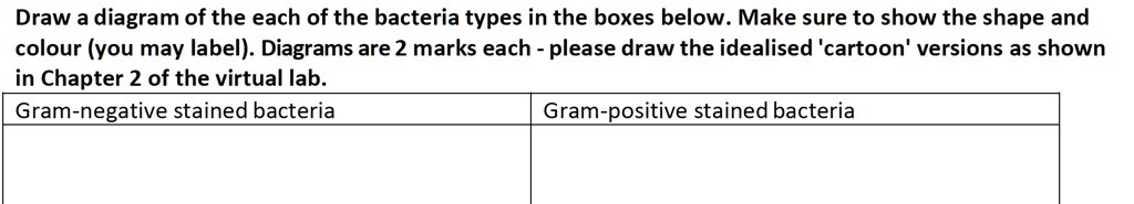 Draw a diagram of the each of the bacteria types in the boxes below ...