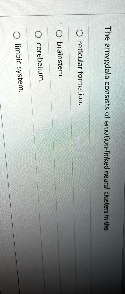 The amygdala consists of emotion-linked neural clusters in the ...