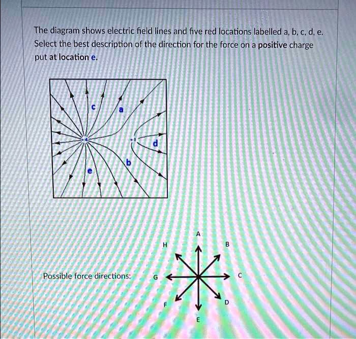 SOLVED: The diagram shows electric field lines and five red locations ...