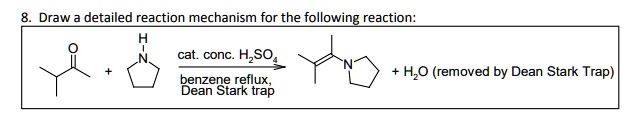 8. Draw a detailed reaction mechanism for the following reaction: H N cat. conc. H2SO4 N ...