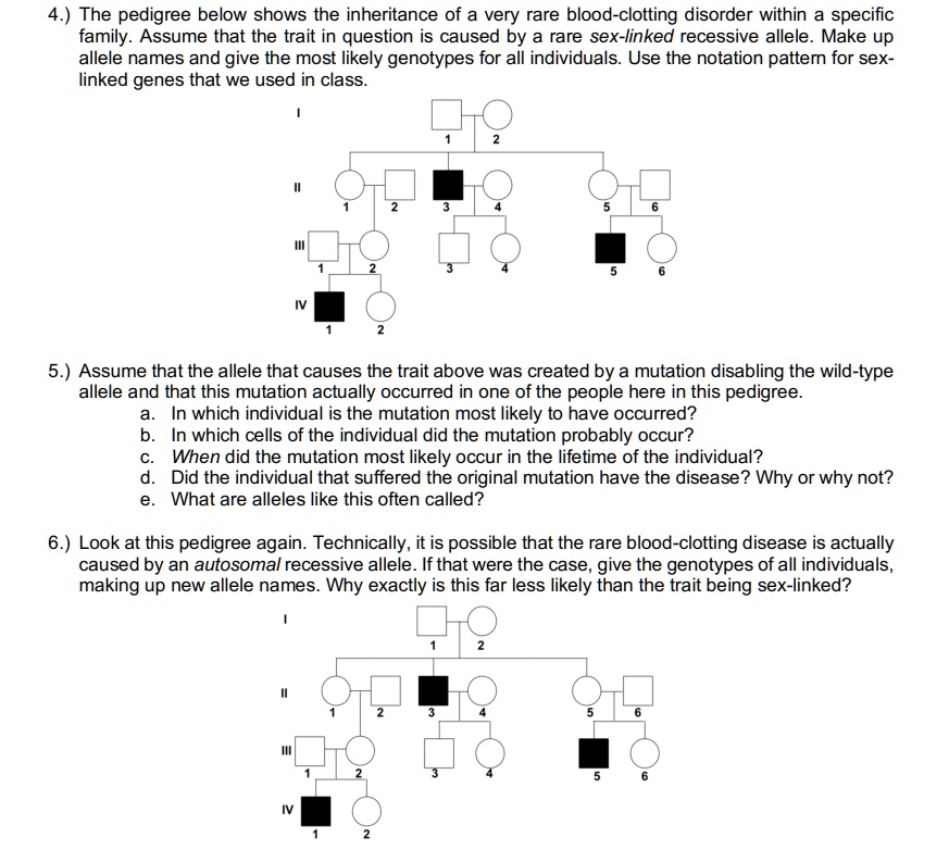 4 the pedigree below shows the inheritance of a very rare blood ...