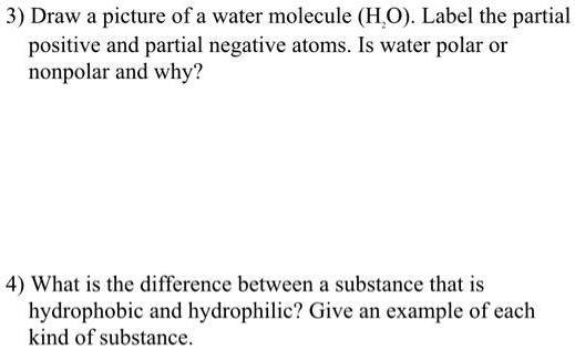 3) Draw a picture of a water molecule (H2O). Label the partial positive and partial negative ...