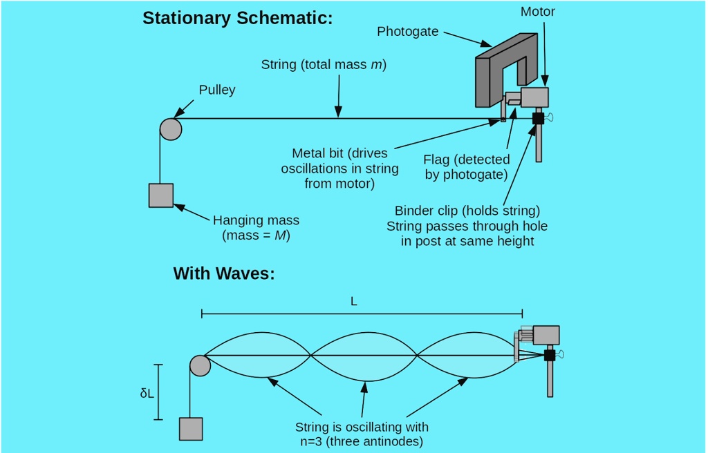 Motor Stationary Schematic: Photogate String (total mass m) Pulley ...