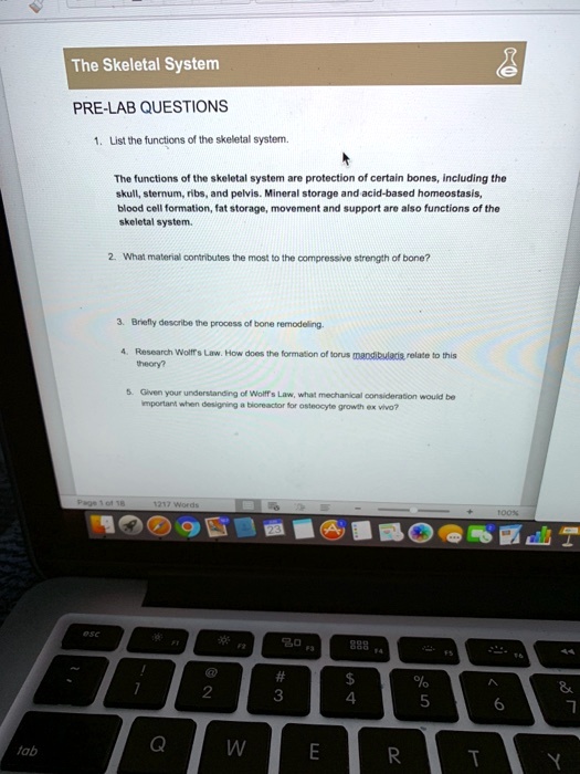 SOLVED: The Skeletal System PRE-LAB QUESTIONS 1. List the functions of ...